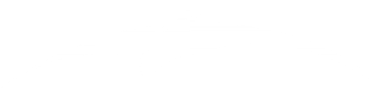 ARC · Freight Services